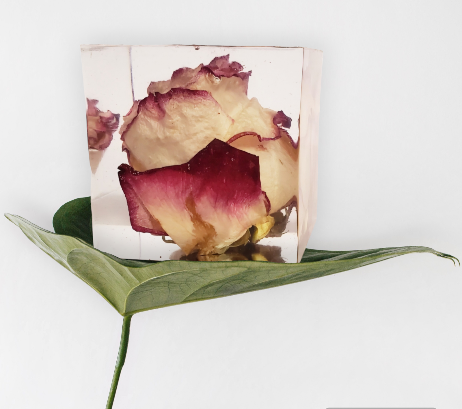 Handmade Resin Pieces - Resin - Live Plants Are Life
